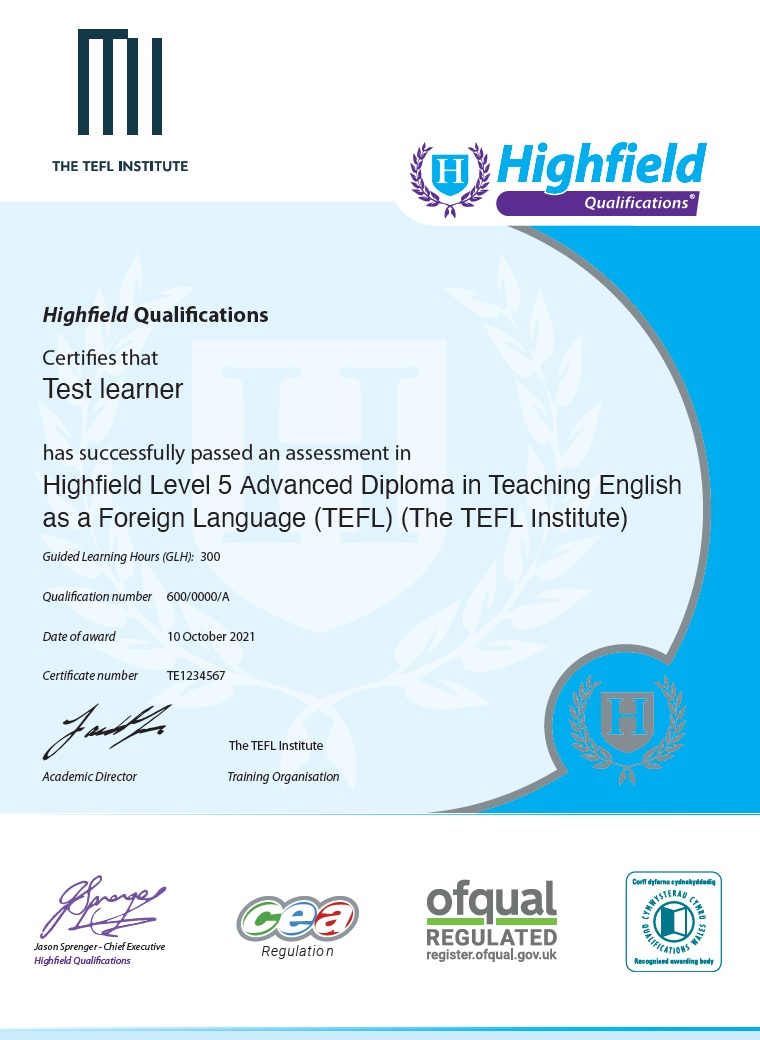 310 Hour Level 5 TEFL Course with Practicum | The TEFL Institute of Ireland